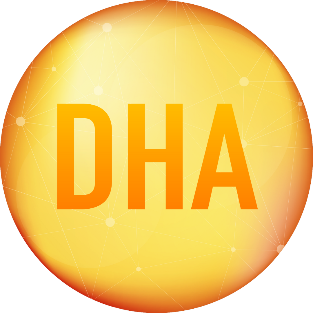 The DHA Regimen Ascent Nutrition The DHA Regimen Ascent Nutrition