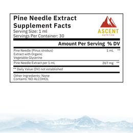 Pine Needle Extract, Pine Needle Tea Alternative, 267 mg – Ascent Nutrition