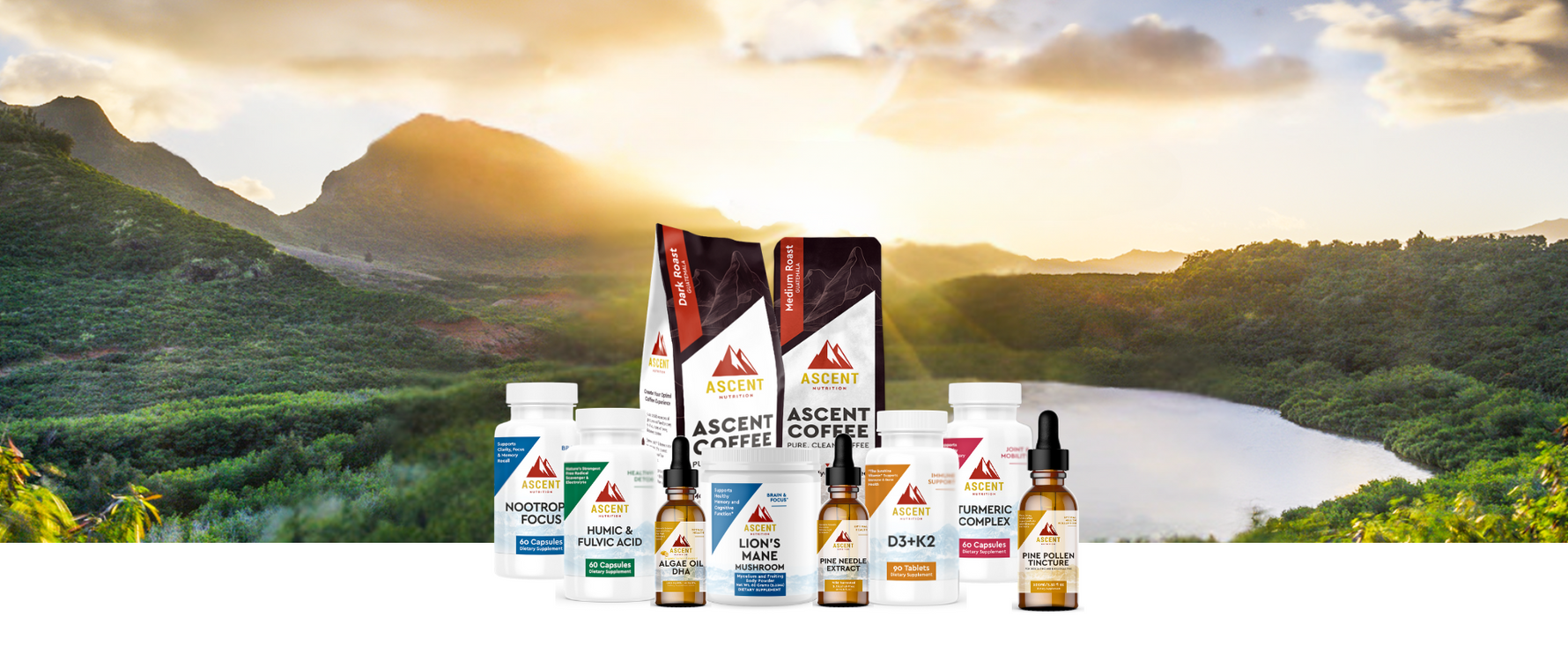 Ascent Nutrition