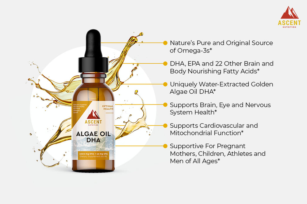 Algae Oil DHA Omega-3's - Vegan and Vegetarian, 1000 mg – Ascent Nutrition